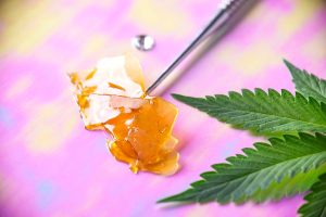 What Is BHO Extraction? (A Guide To Butane Hash Oil)